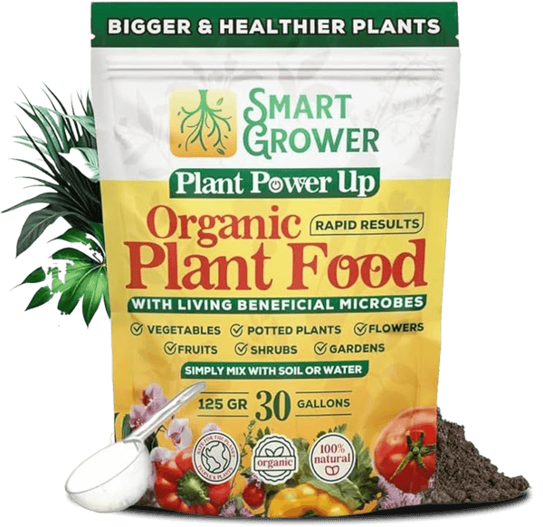 What is in Plant Food: Essential Nutrients for Thriving Growth – buzzlyo
